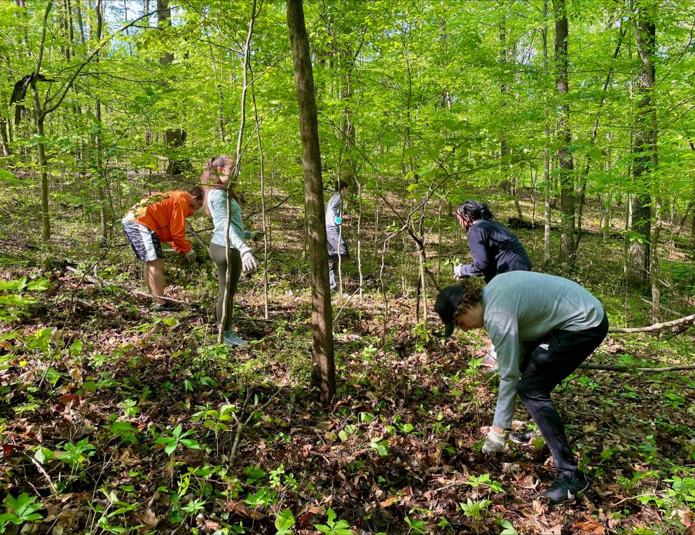 Service Pathway | John H. Martinson Honors Program